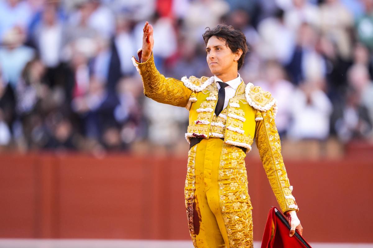 El torero Roca Rey cogido muy grave en la Maestranza de Sevilla ...